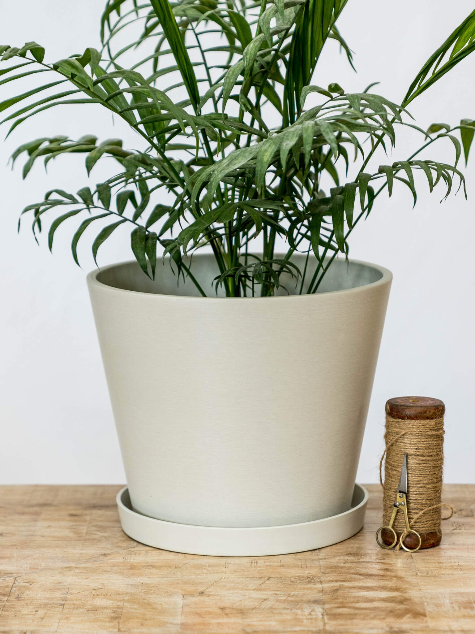 Selva Planter 12-inch | PlantVine