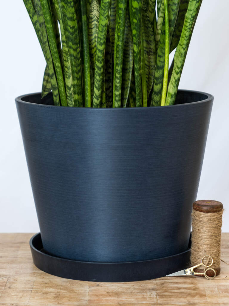 Selva Planter 16-inch | PlantVine