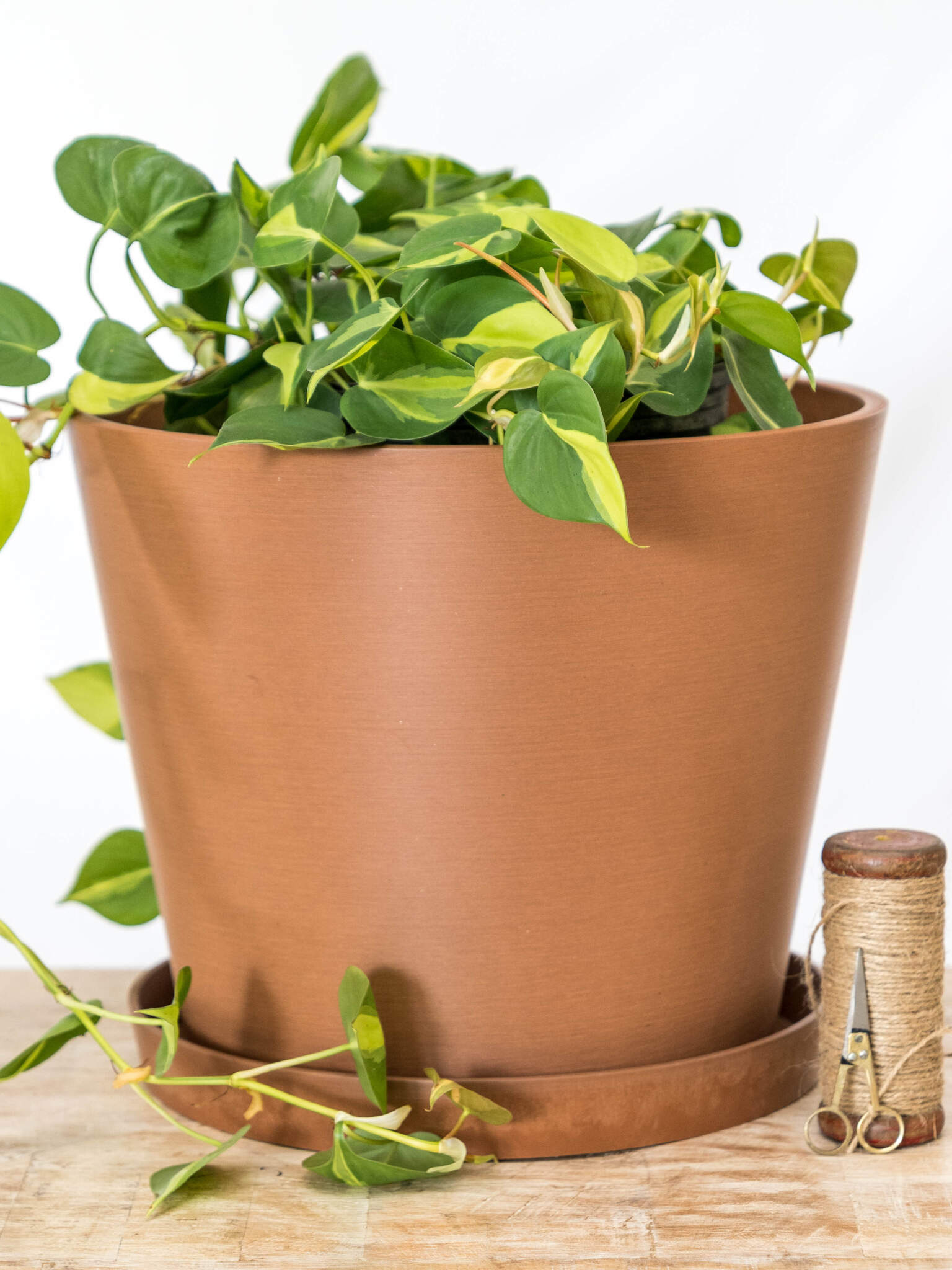 Selva Planter 16-inch | PlantVine