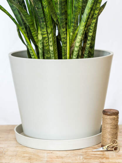 Selva Planter 16-inch | PlantVine