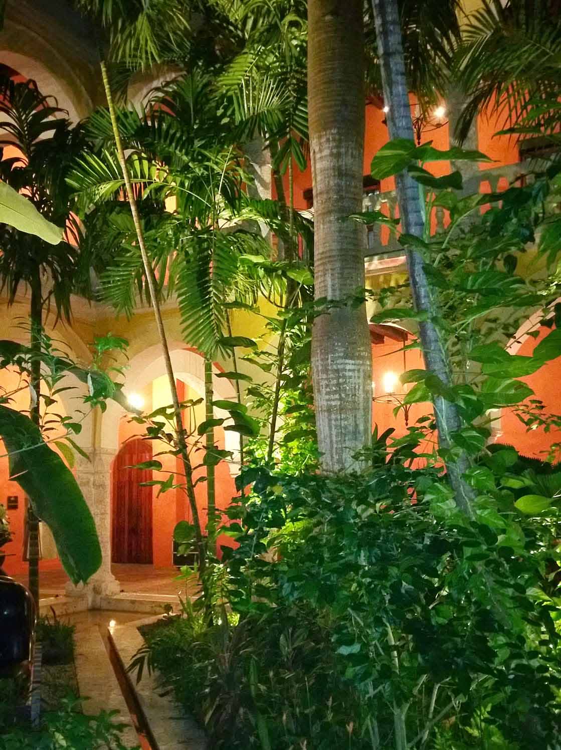 A World of Plants: Colombia | PlantVine