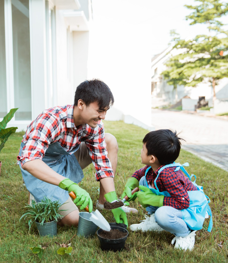 Father’s Day plants for your favorite #PlantDad | PlantVine