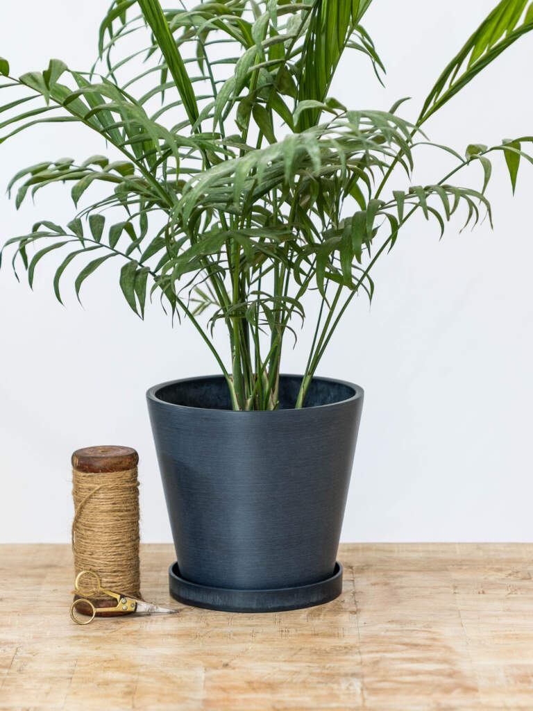 Selva Planter 8-inch | PlantVine