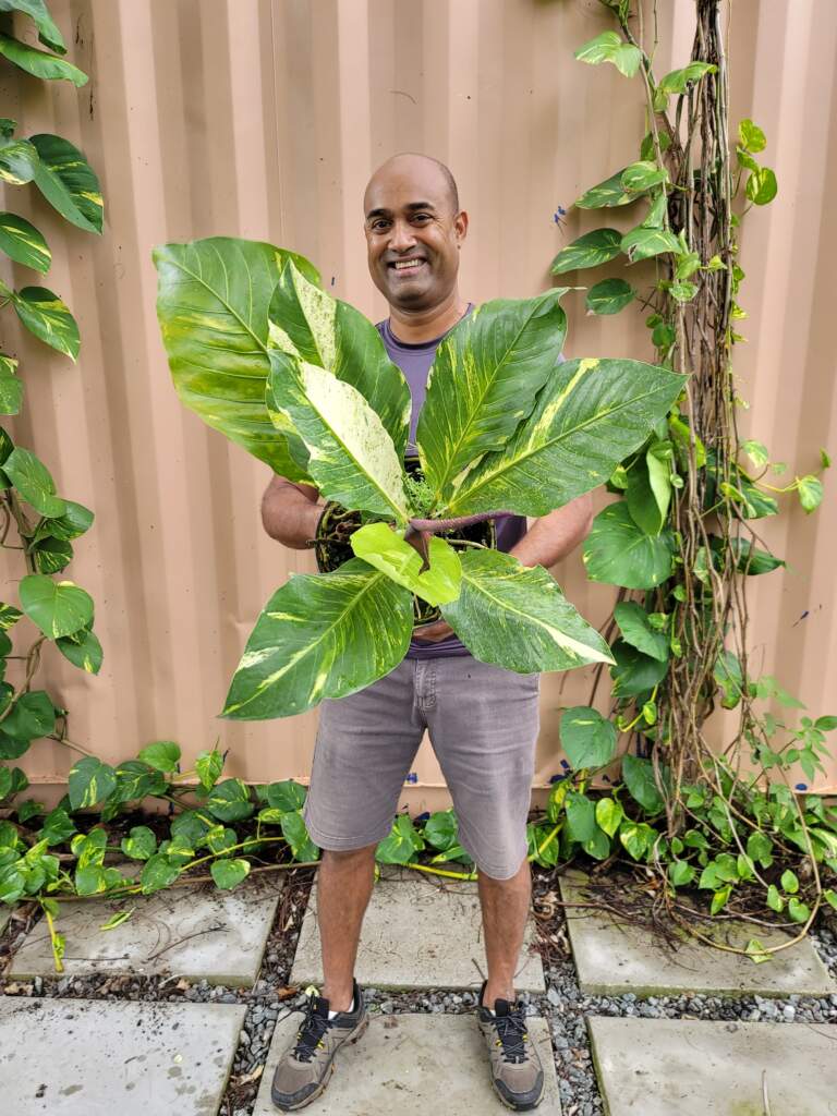 Darryl’s Discoveries | PlantVine