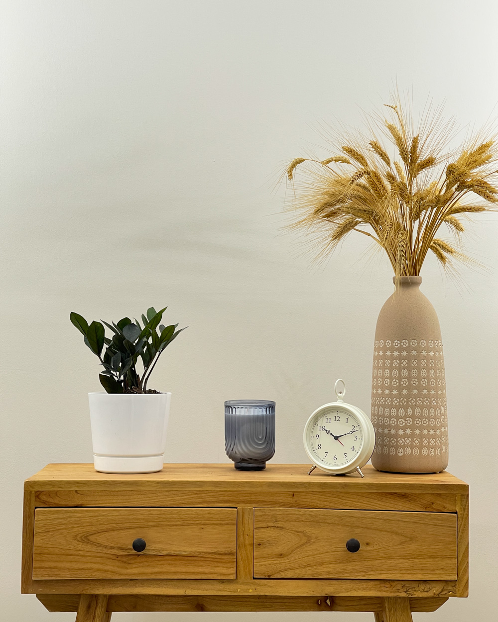 Raven ZZ Plant | PlantVine