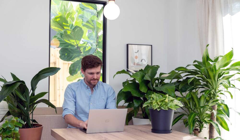 Creating a Welcoming and Productive Work Environment with Plants ...