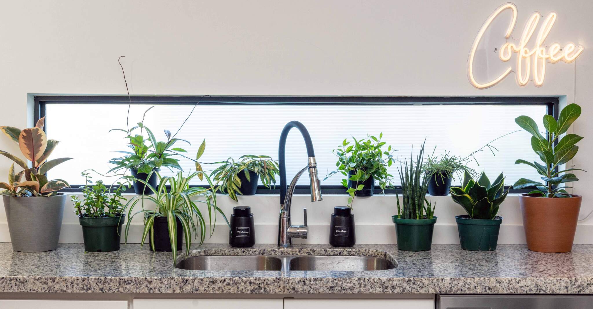 Decorating Tips: Small Plants that will Thrive in Small Places | PlantVine