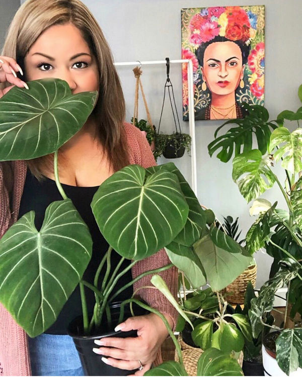 Women Making History With Plants | PlantVine