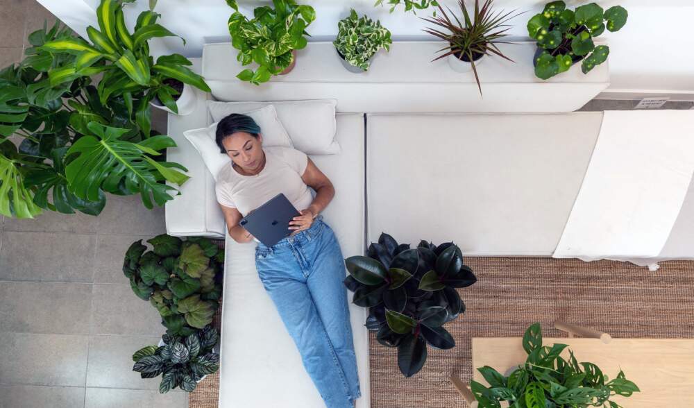 Spiritual Wellness Month: How to Incorporate Plants to Maintain Mental ...