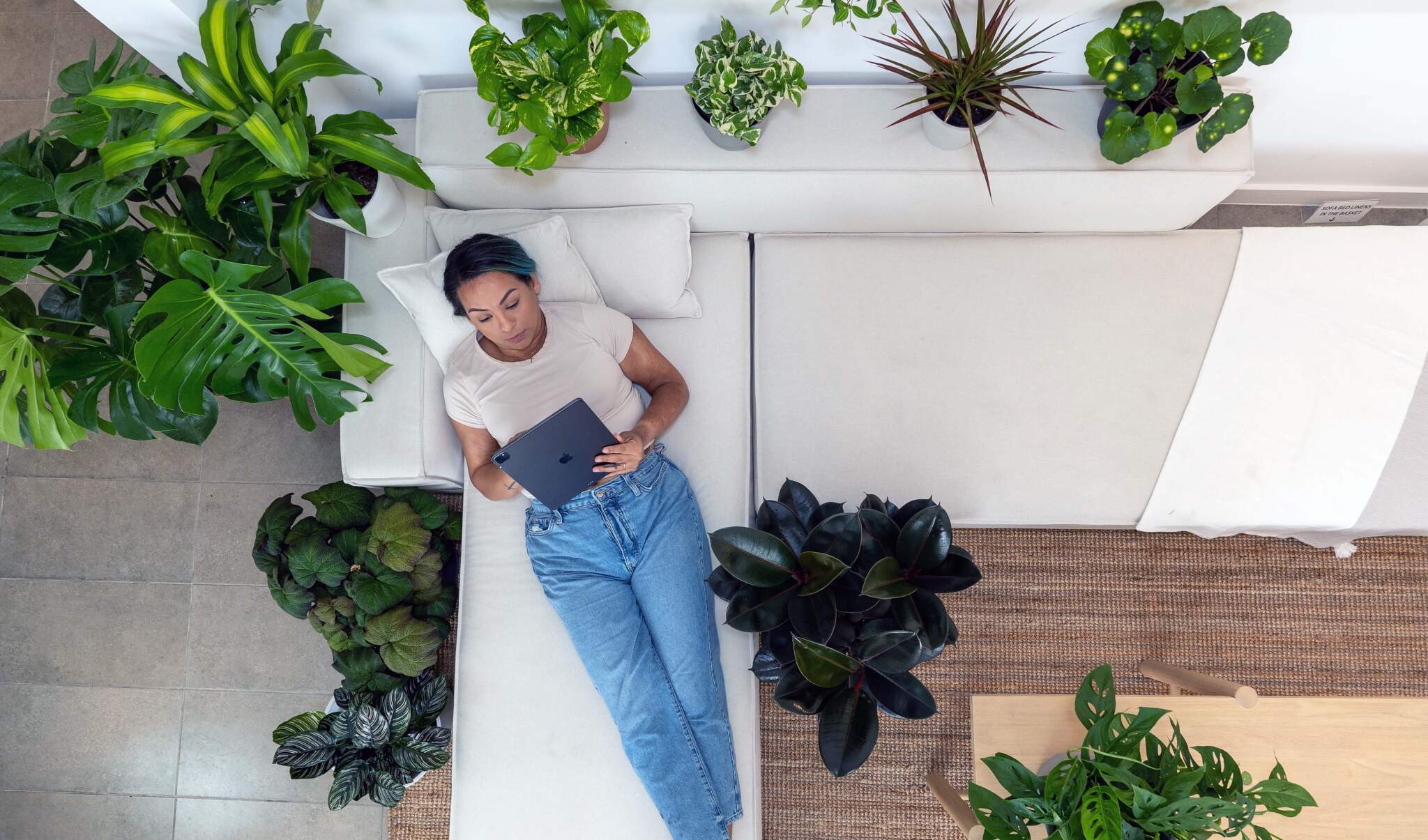Spiritual Wellness Month: How to Incorporate Plants to Maintain Mental ...