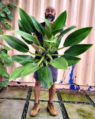 Darryl’s Discoveries | PlantVine