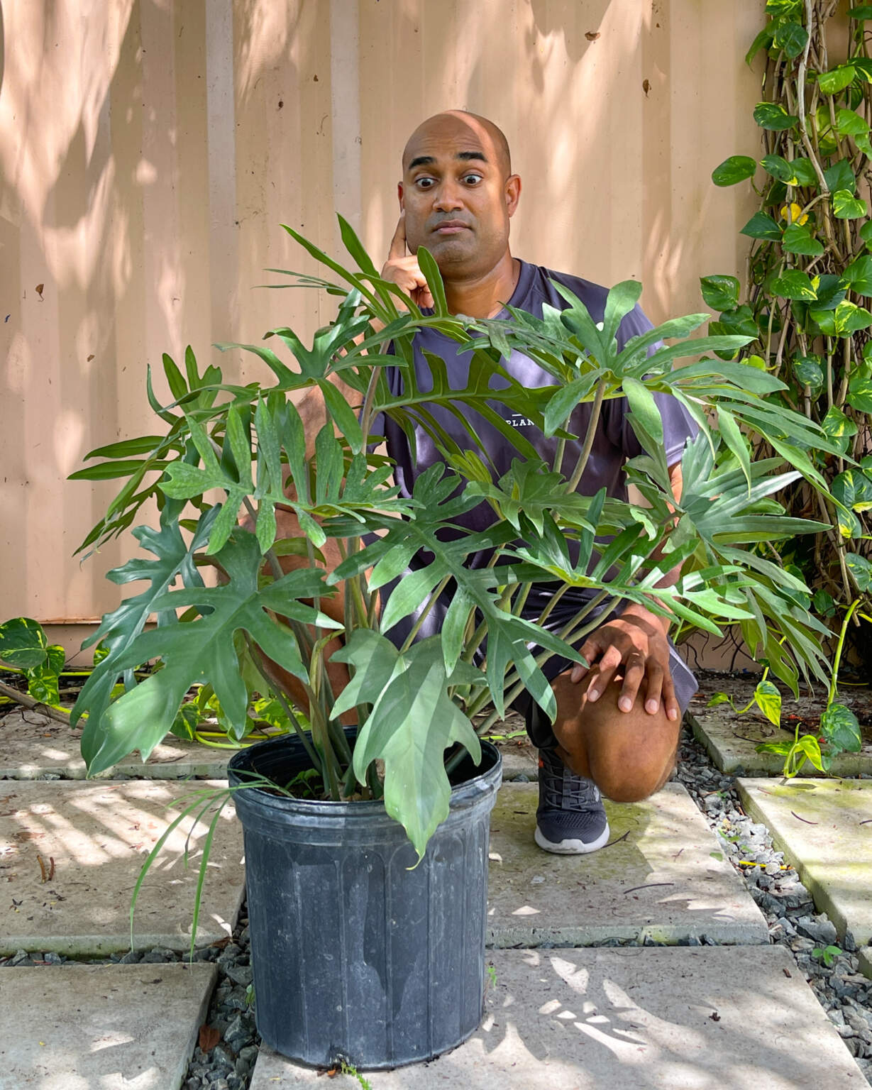 Darryl’s Discoveries | PlantVine