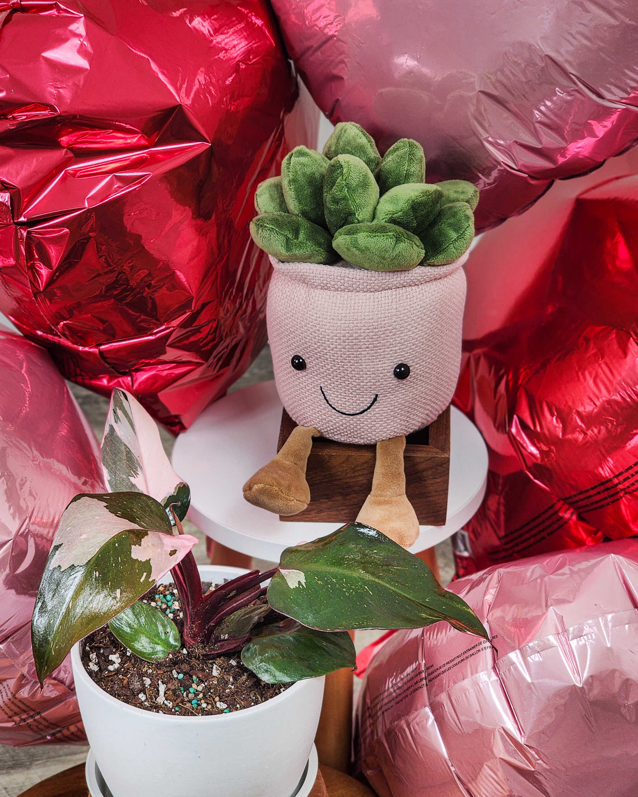 ‘Pretty in Pink’ Gift Bundle | PlantVine