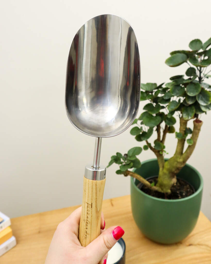 Stainless Steel Scoop | PlantVine