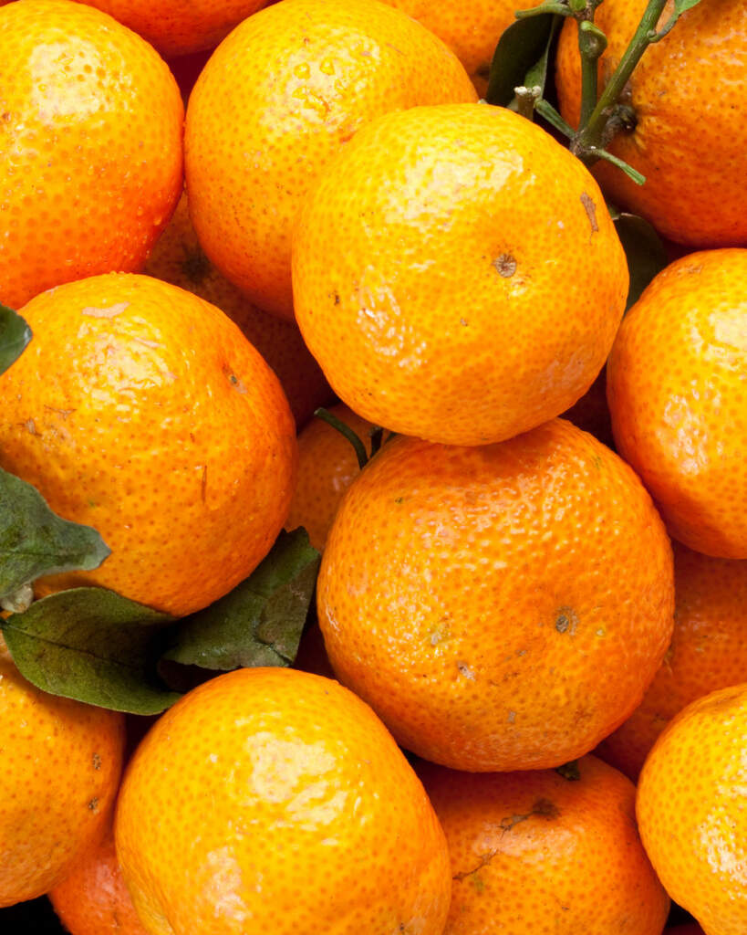 Dancy Tangerine Citrus Tree | PlantVine