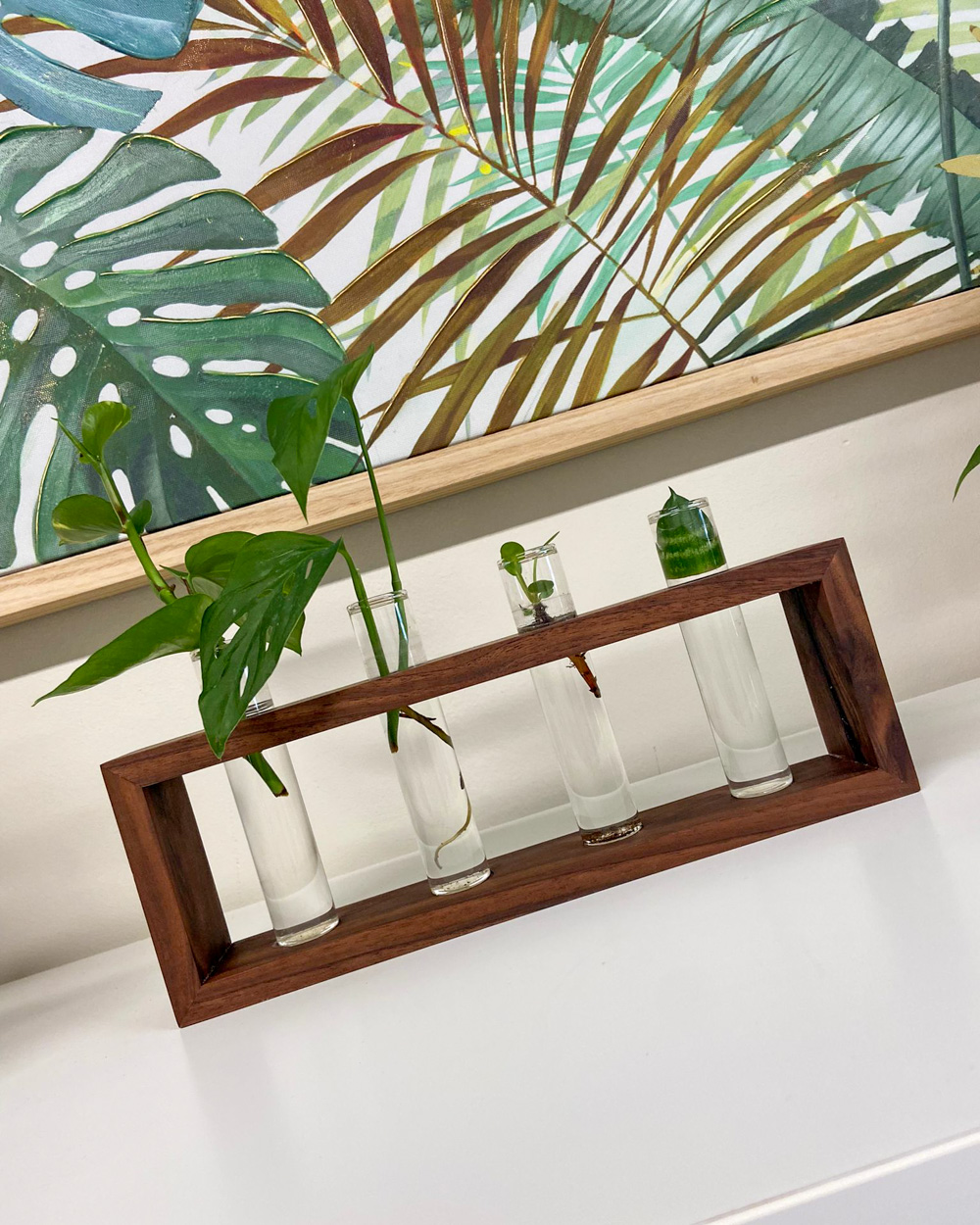 An Easy Guide to Plant Propagation | PlantVine