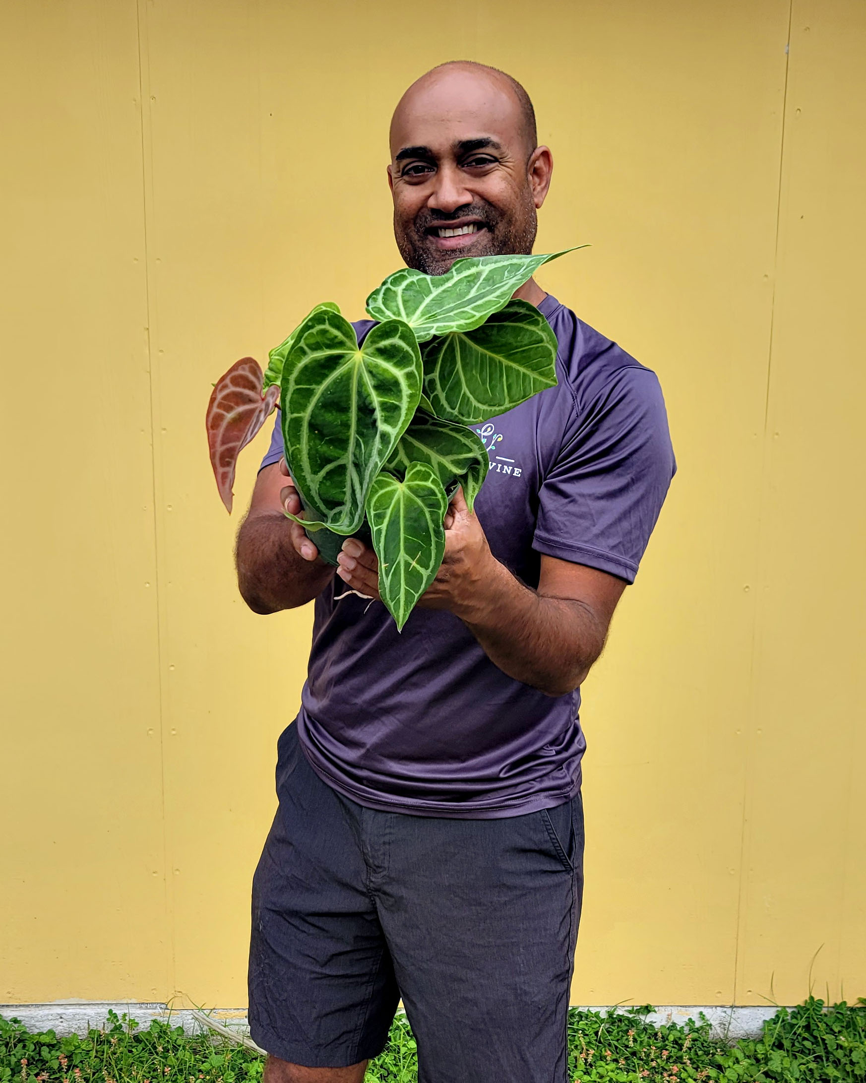 Darryl’s Discoveries | PlantVine