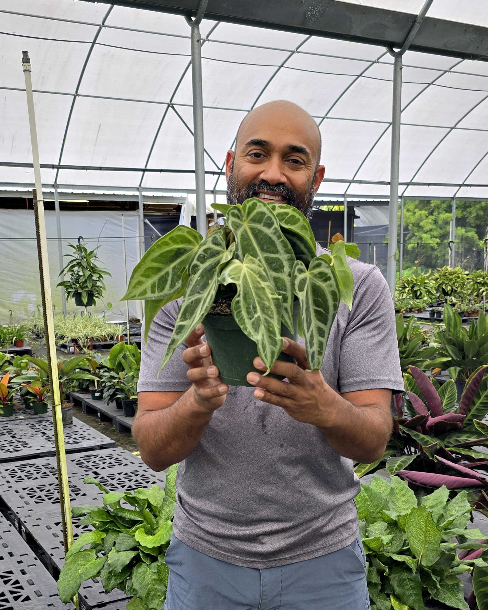 Darryl’s Discoveries | PlantVine