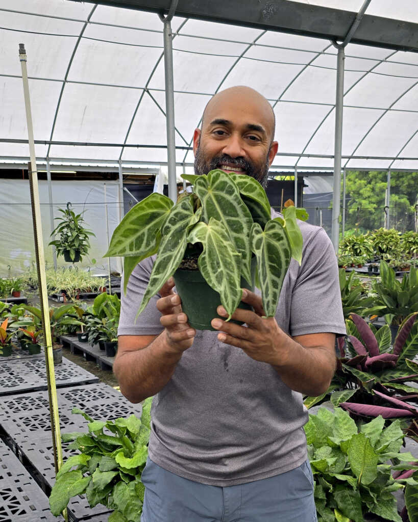 Darryl’s Discoveries | PlantVine