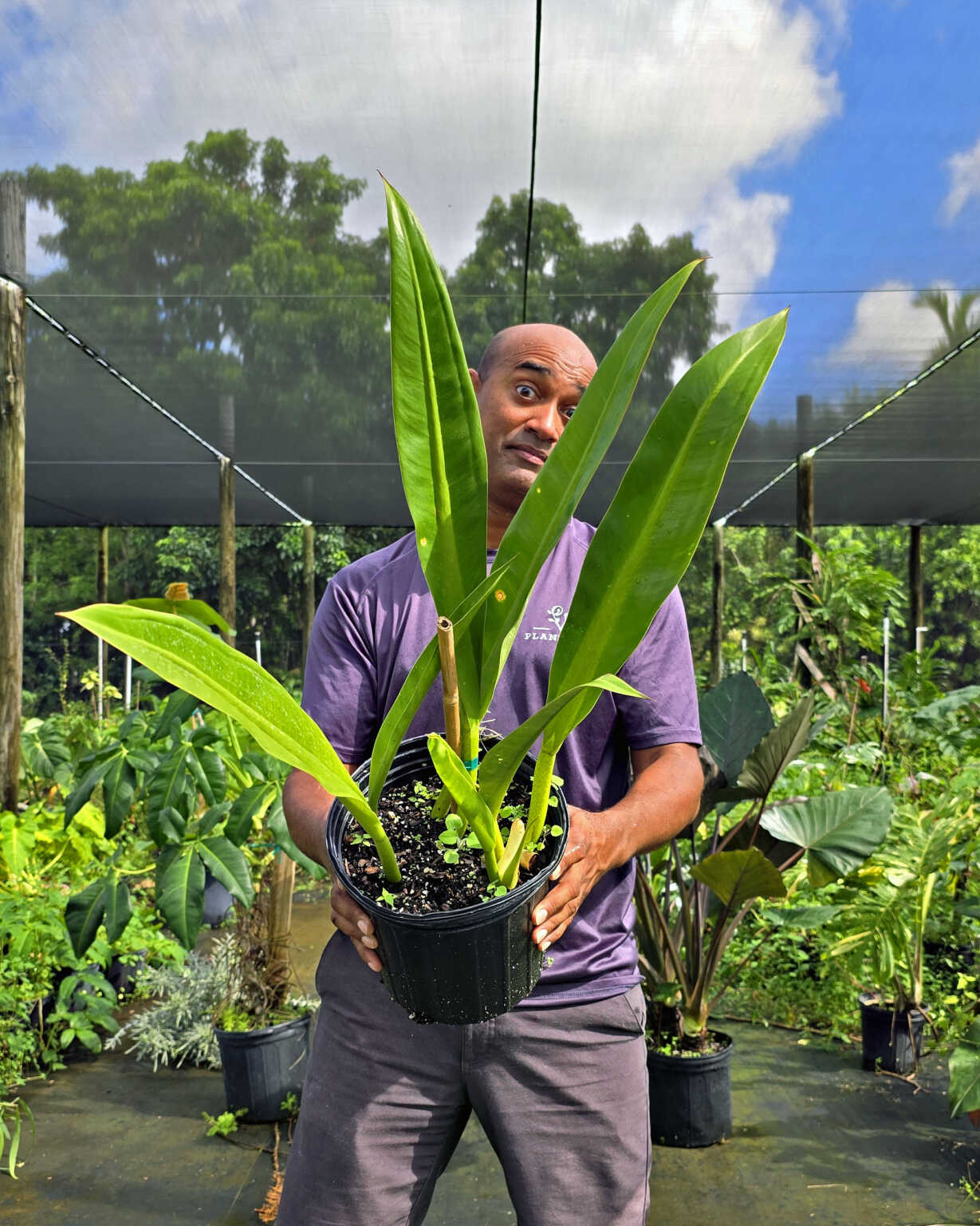 Darryl’s Discoveries | PlantVine