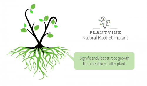 Buy PlantVine Natural Root Stimulant | Free Shipping over $100