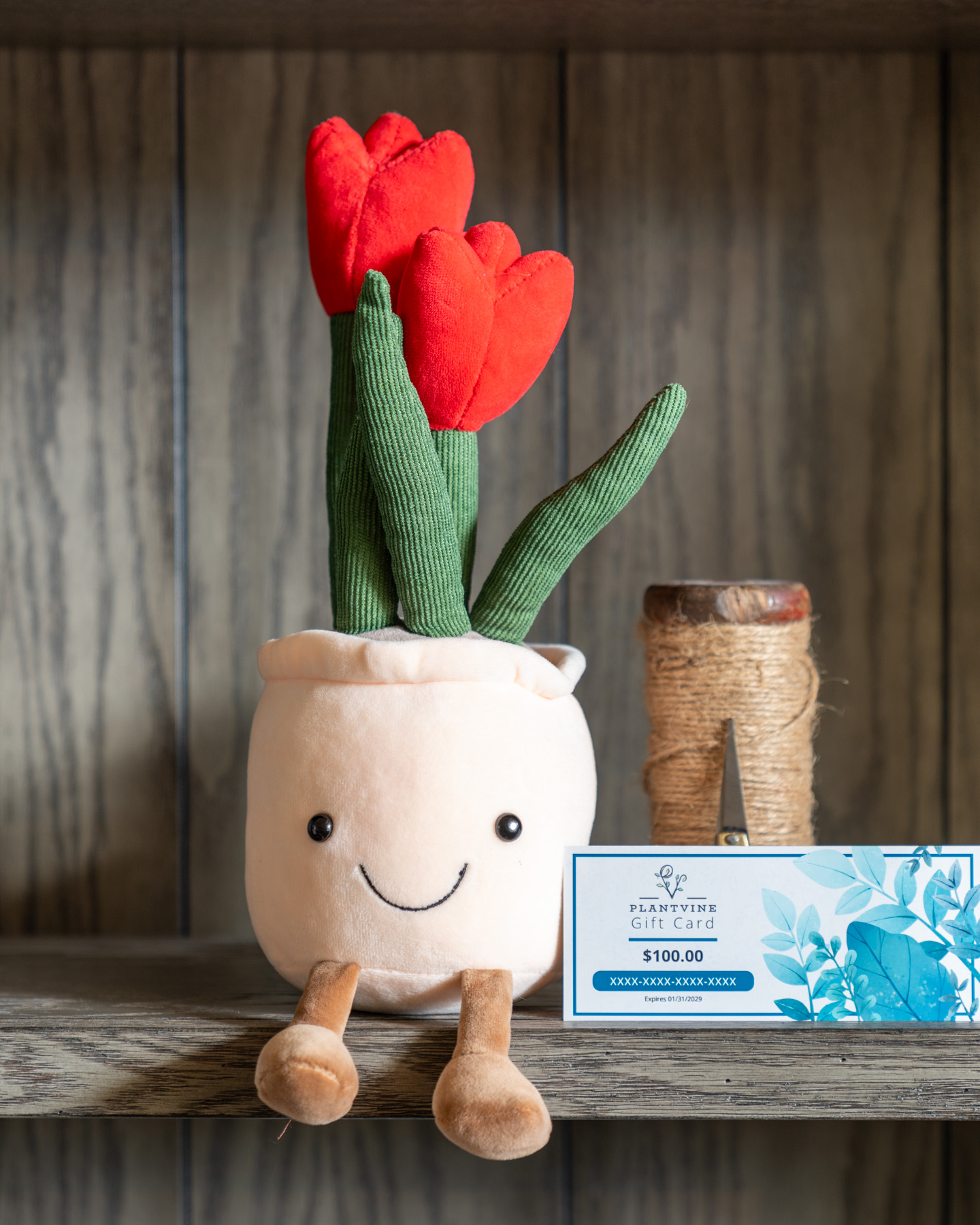 Plushie with $100 Gift Card | PlantVine
