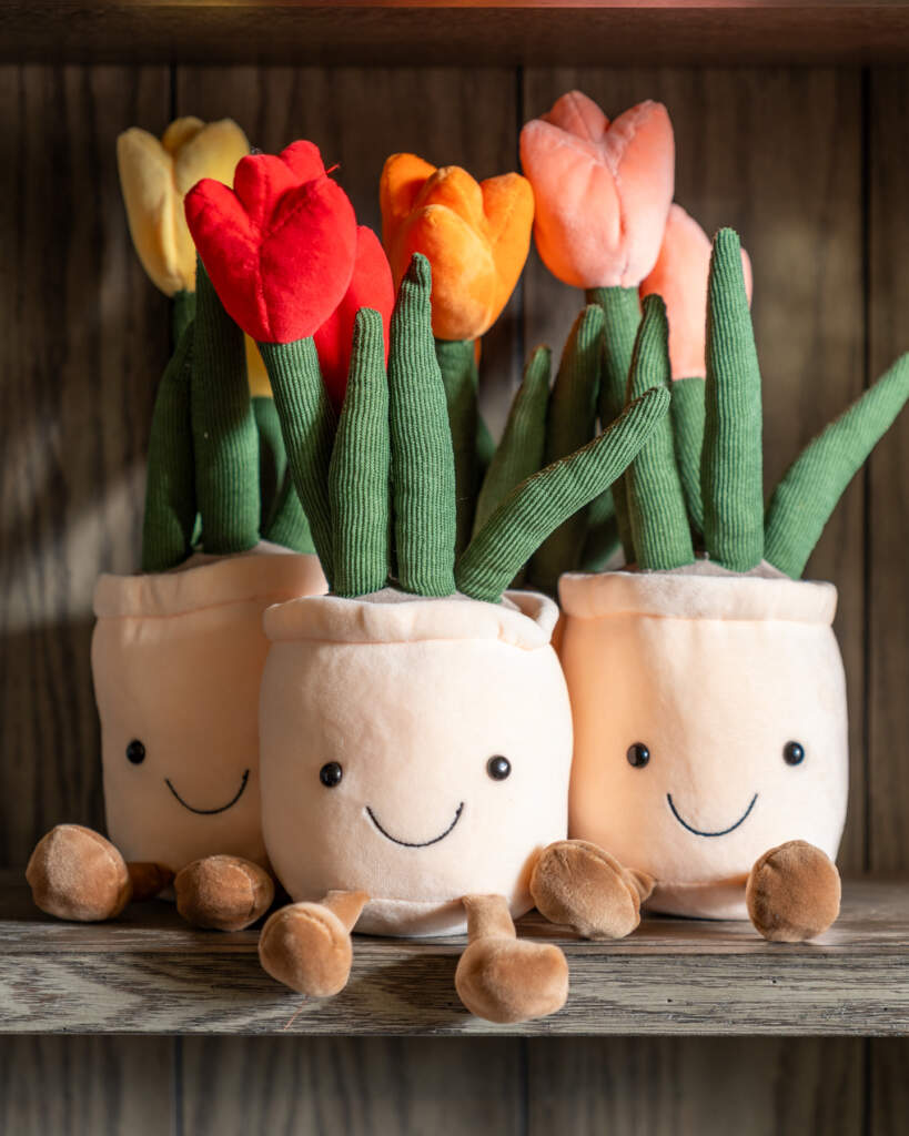 Tulip Plushie | PlantVine
