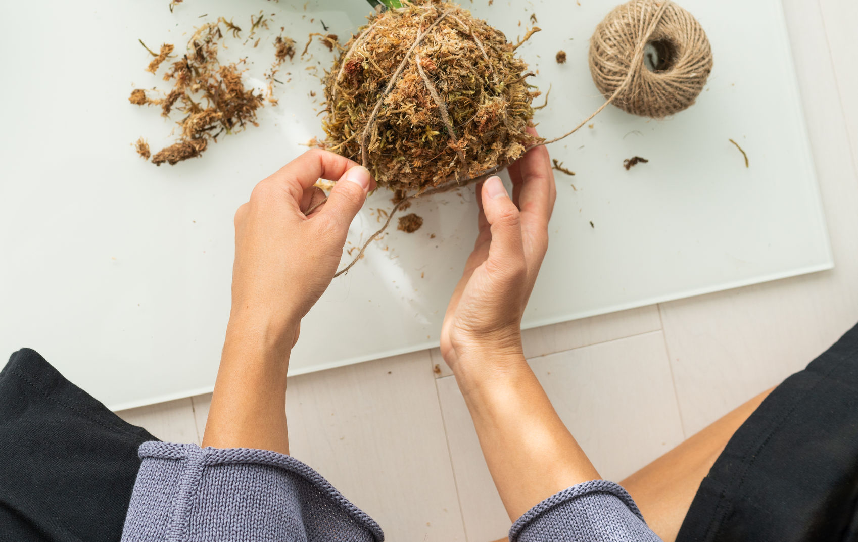 A Simple Guide to Building Your Own Moss Pole | PlantVine